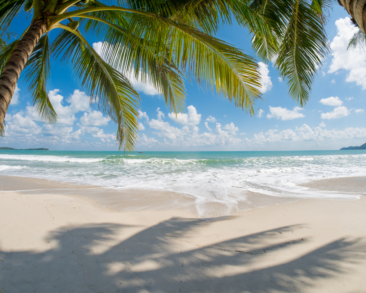 Studio M - Beach Collection – Studio M RVA